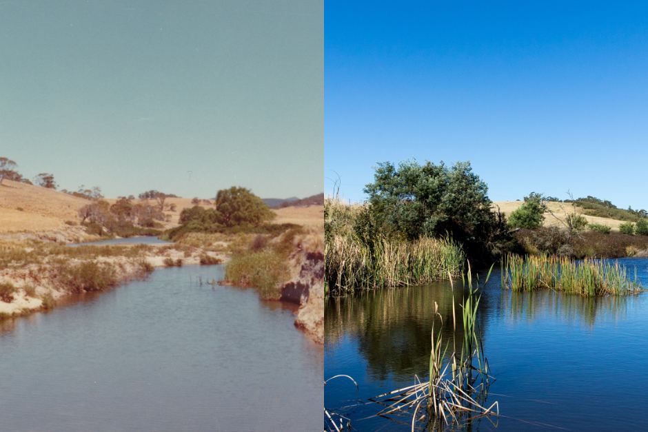 Soaking up Australia's drought - Regenerative Landscapes Australia