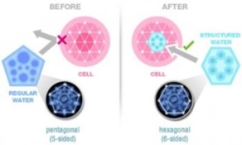 Living - Healing - Natural What is Structured Water? - Regenerative ...